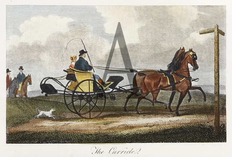 The Curricle. - Antique Print Map Room