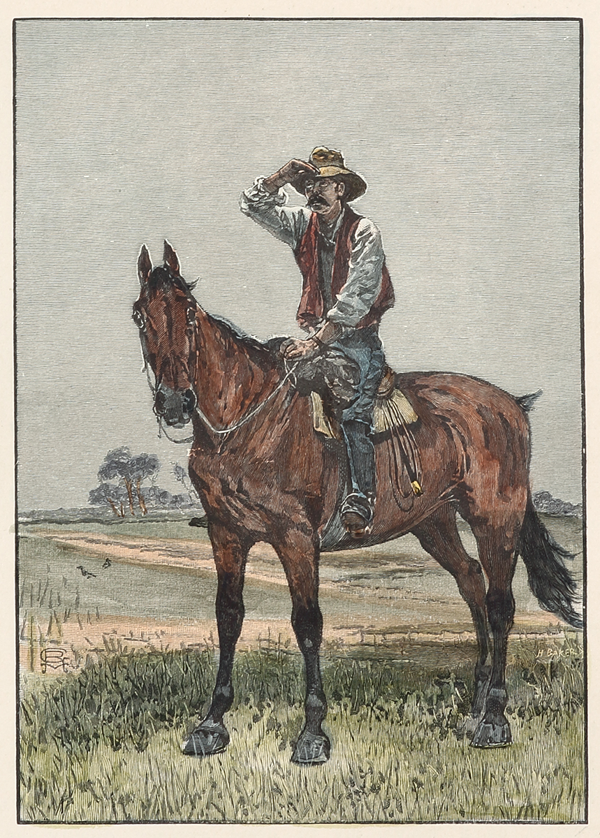 Boundary Rider. - Antique Print Map Room