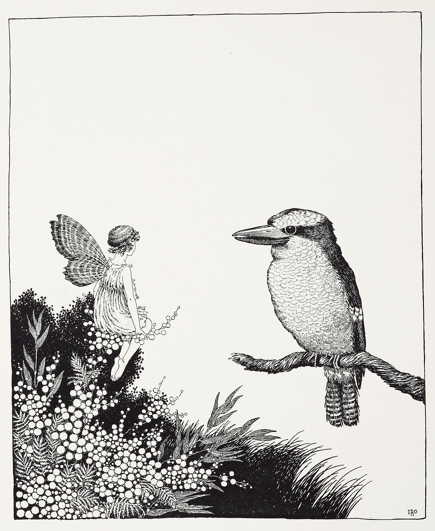 While she sat chatting to a Kookaburra. - Antique Print Map Room