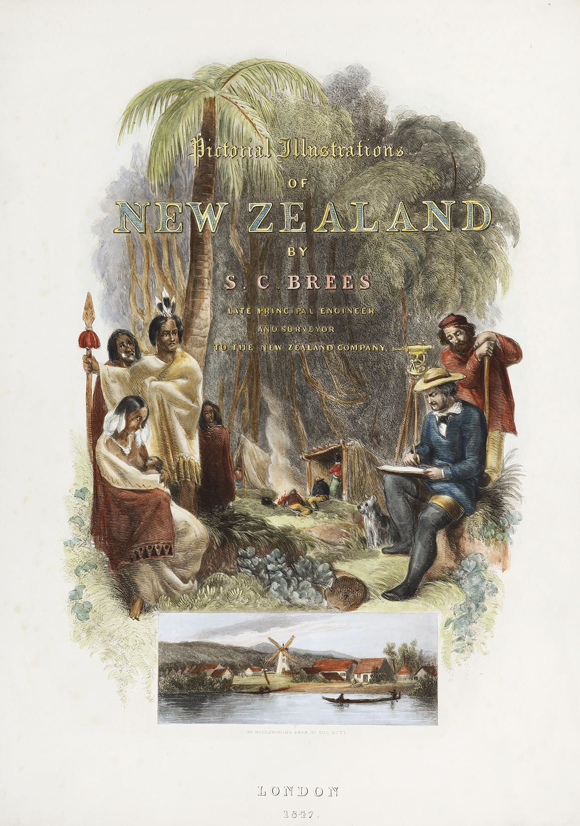 Pictorial Illustrations of New Zealand - Antique Print Map Room