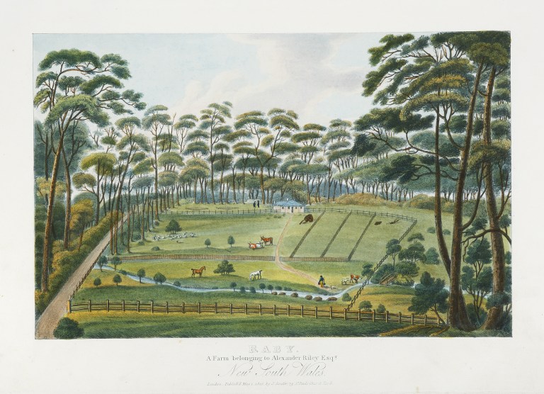 Raby, a Farm Belonging to Alexander Riley Esq., New South Wales ...