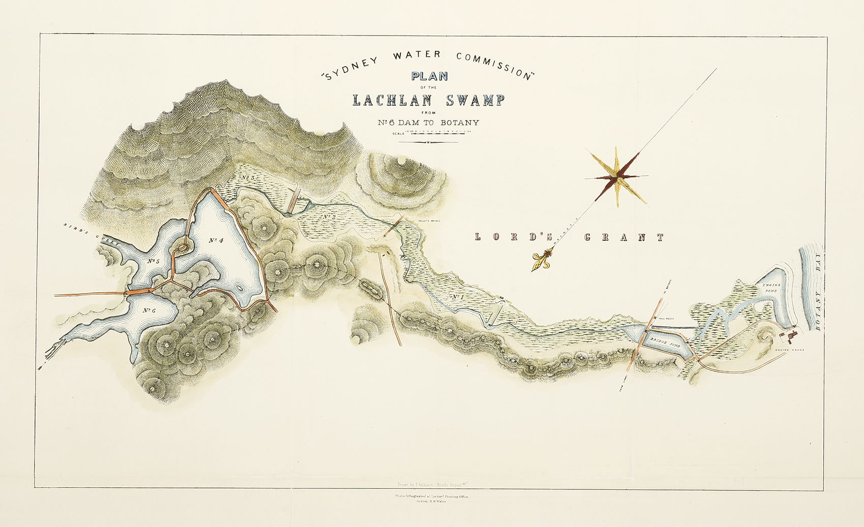 Plan of the Lachlan Swamp from No. 6 Dam to Botany - Antique Print Map Room