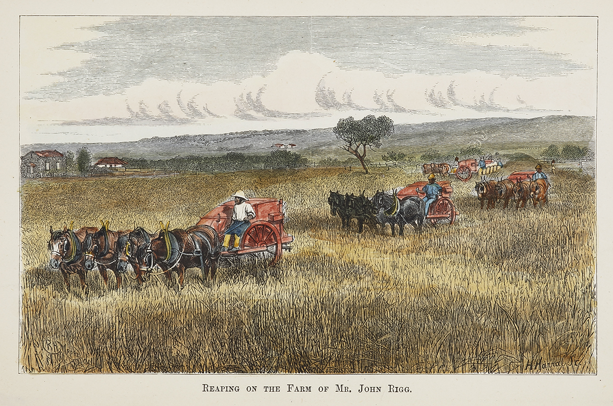 Reaping on the Farm of Mr. John Riggs. - Antique Print Map Room