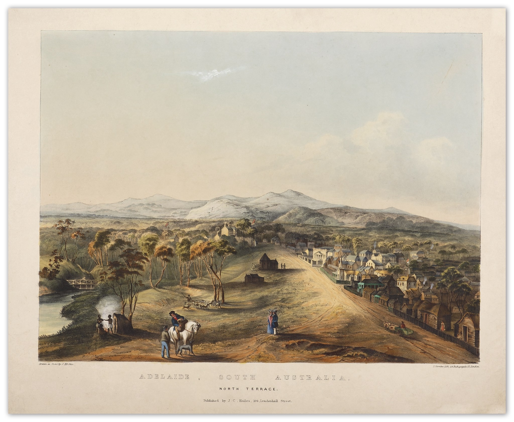 Adelaide, South Australia, North Terrace - Antique Print Map Room