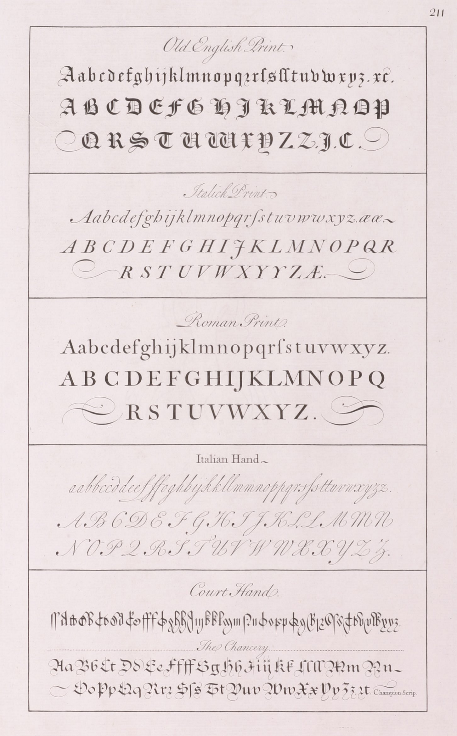 Calligraphy - Antique Print Map Room