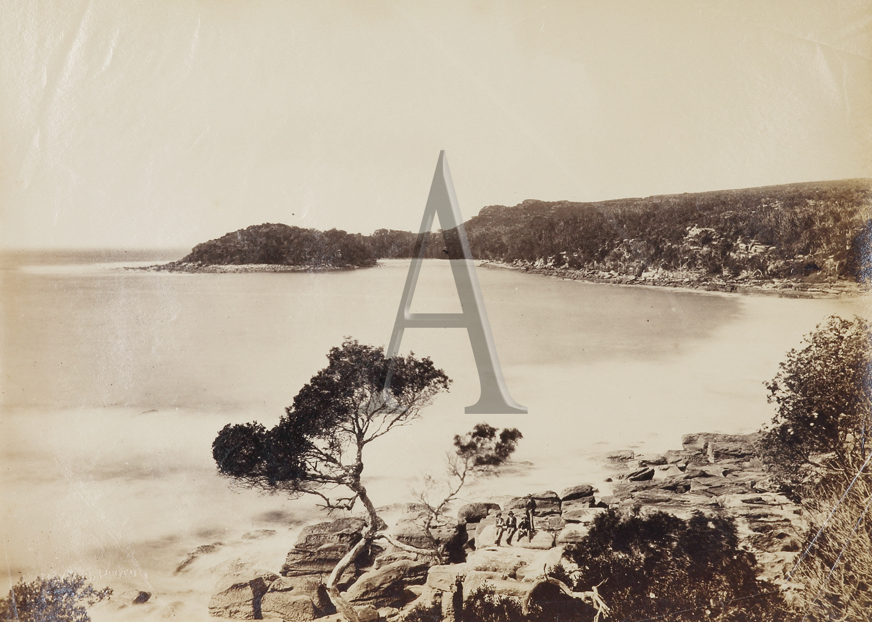 Cabbage Tree Bay, Manly. - Antique Print Map Room