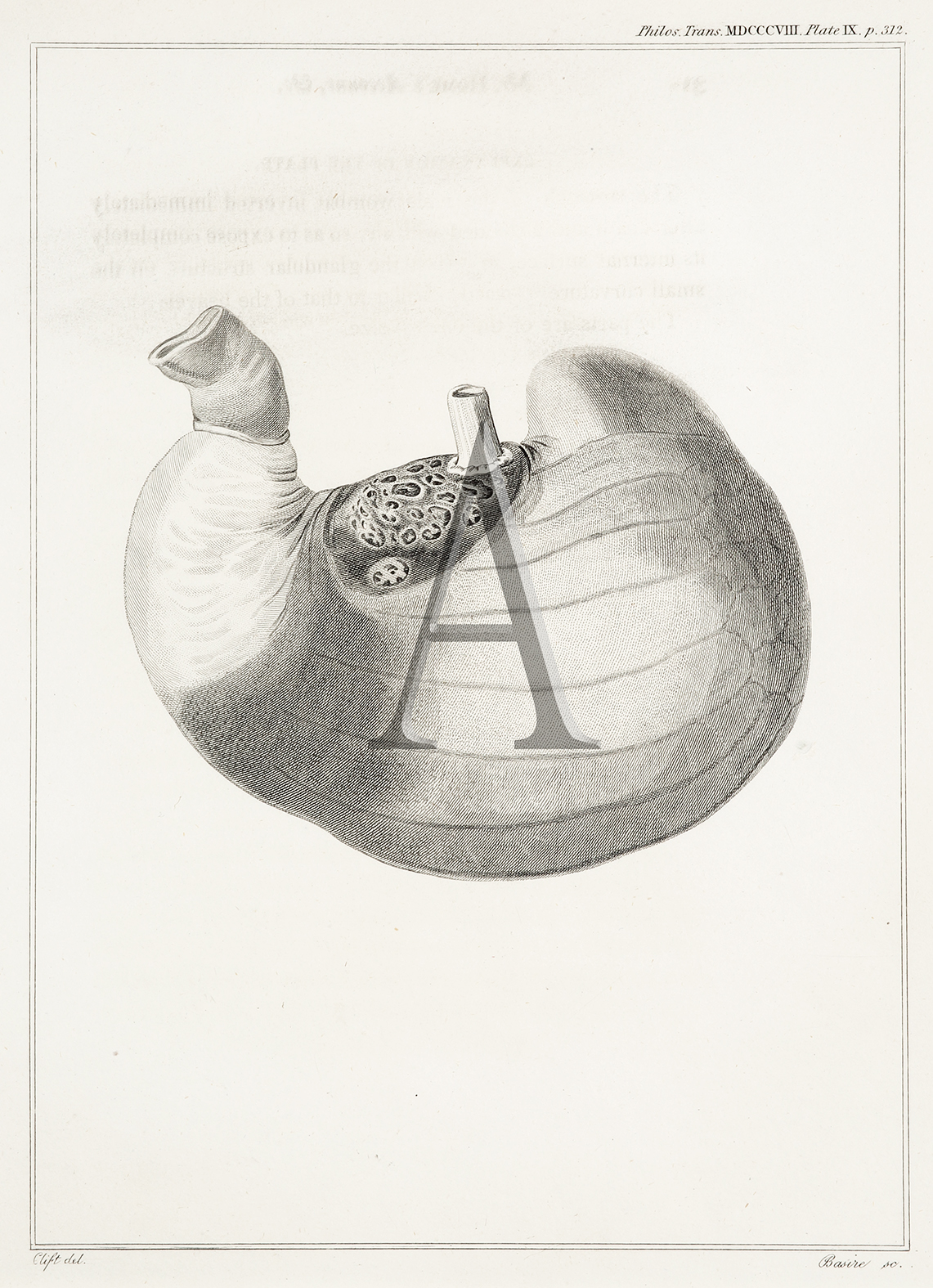 Generation Observations on the Female Organs of Anatomical Structure of ...