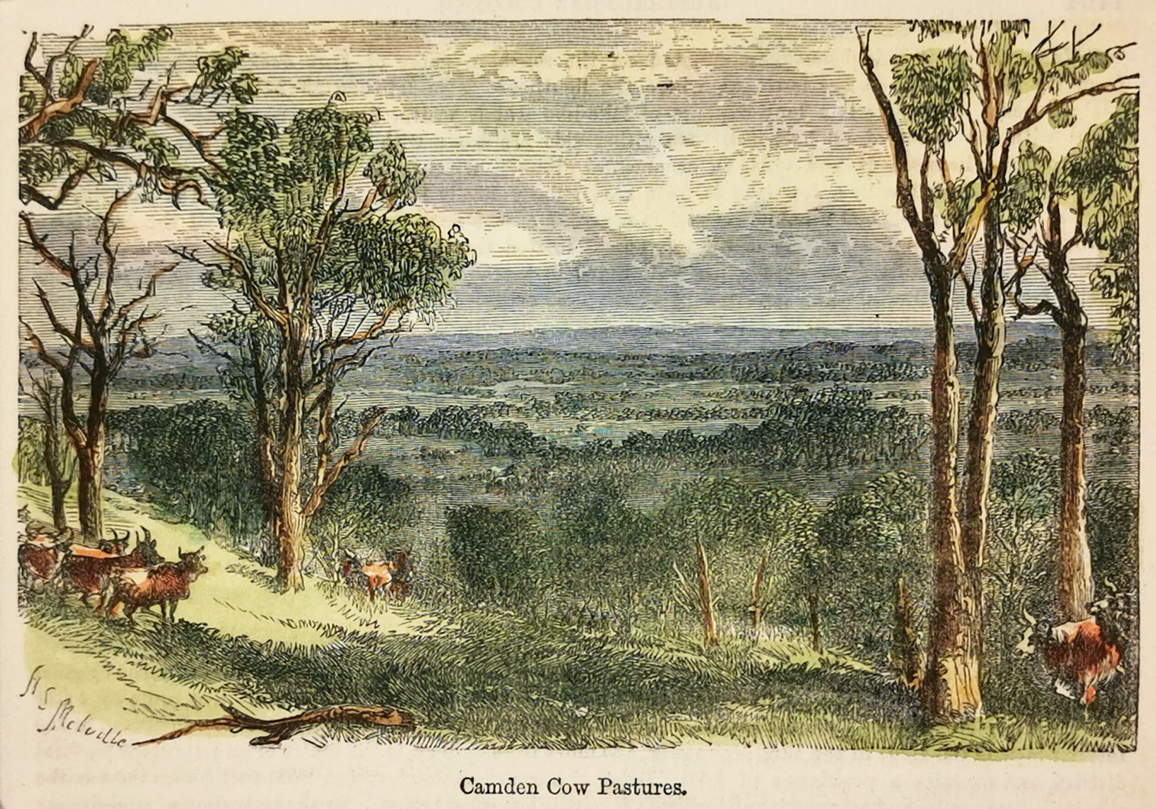 Camden Cow Pastures. - Antique Print Map Room