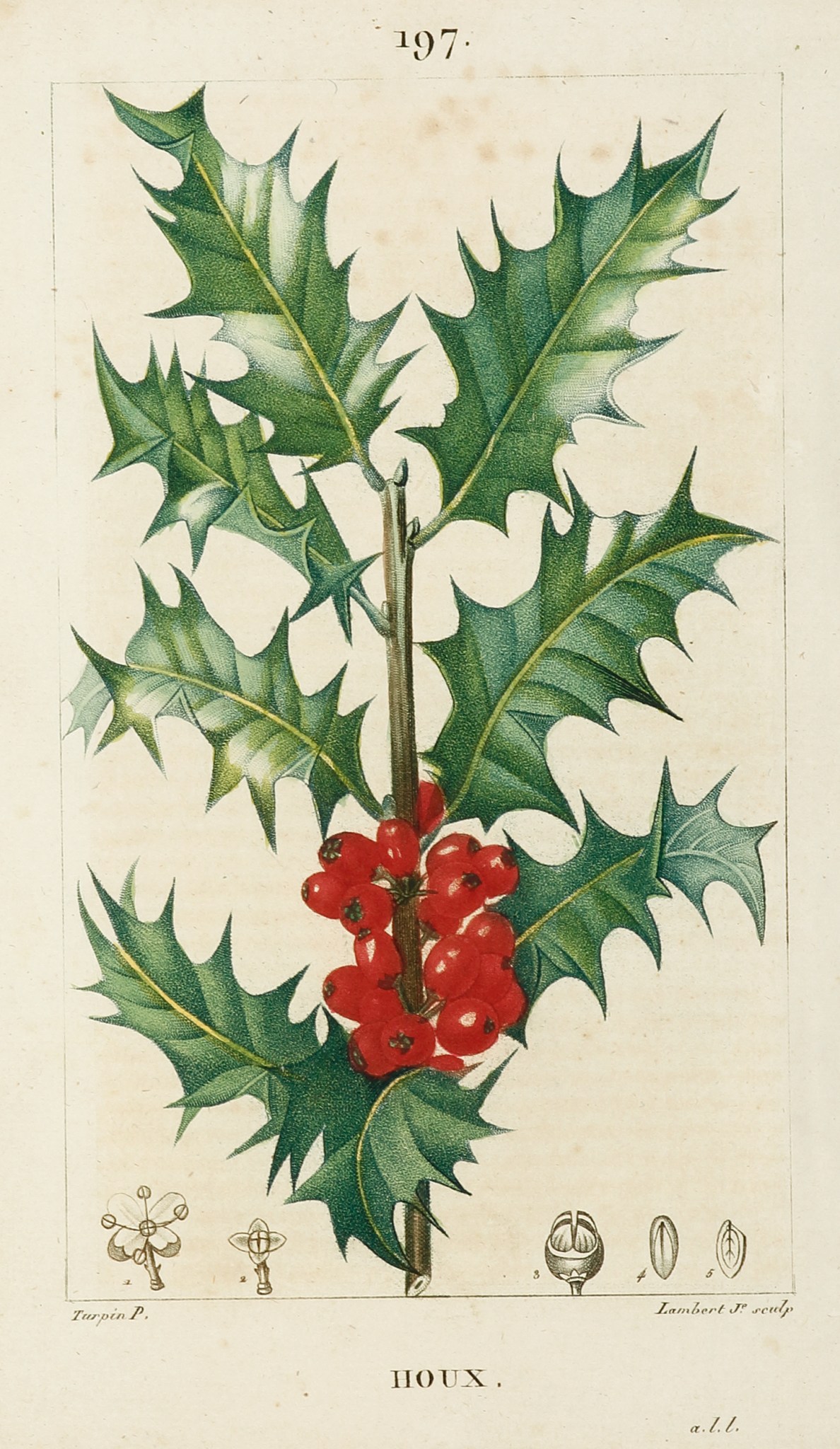 HOUX - Antique Print Map Room