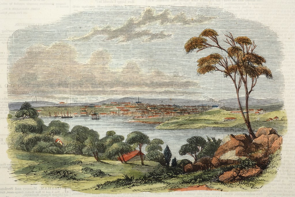 View of Sydney from Balmain. - Antique Print Map Room