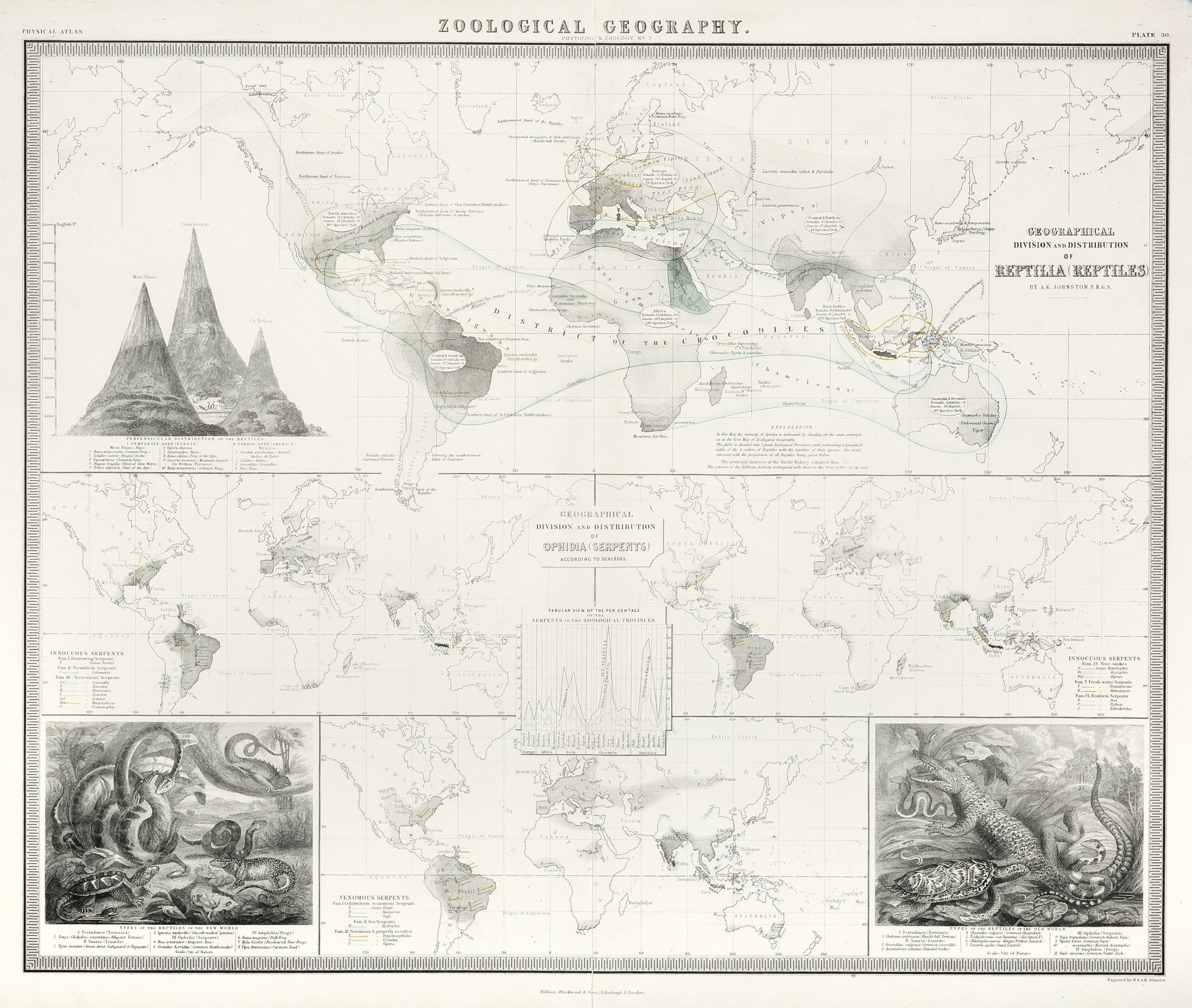 Zoological geography. Geographical division and distribution of ...