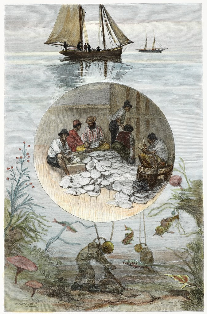 Pearl Fishery, Torres Straits. - Antique Print Map Room