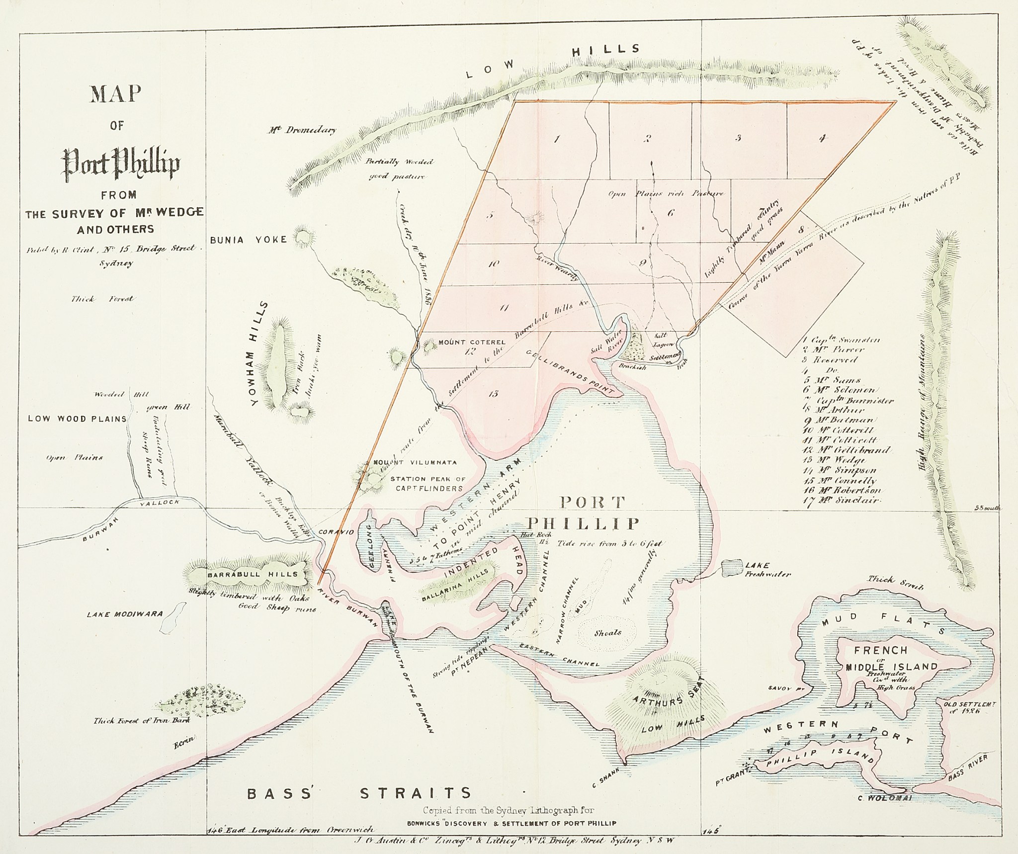 Map of Port Phillip from the Survey of Mr. Wedge and others - Antique ...