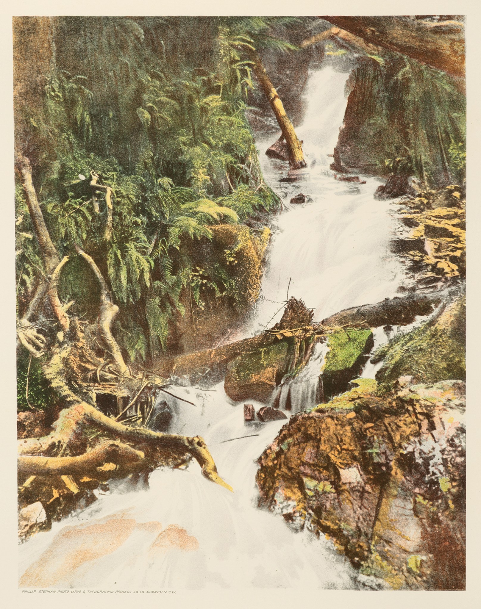 Meethinna Falls Mount Monda. - Antique Print Map Room