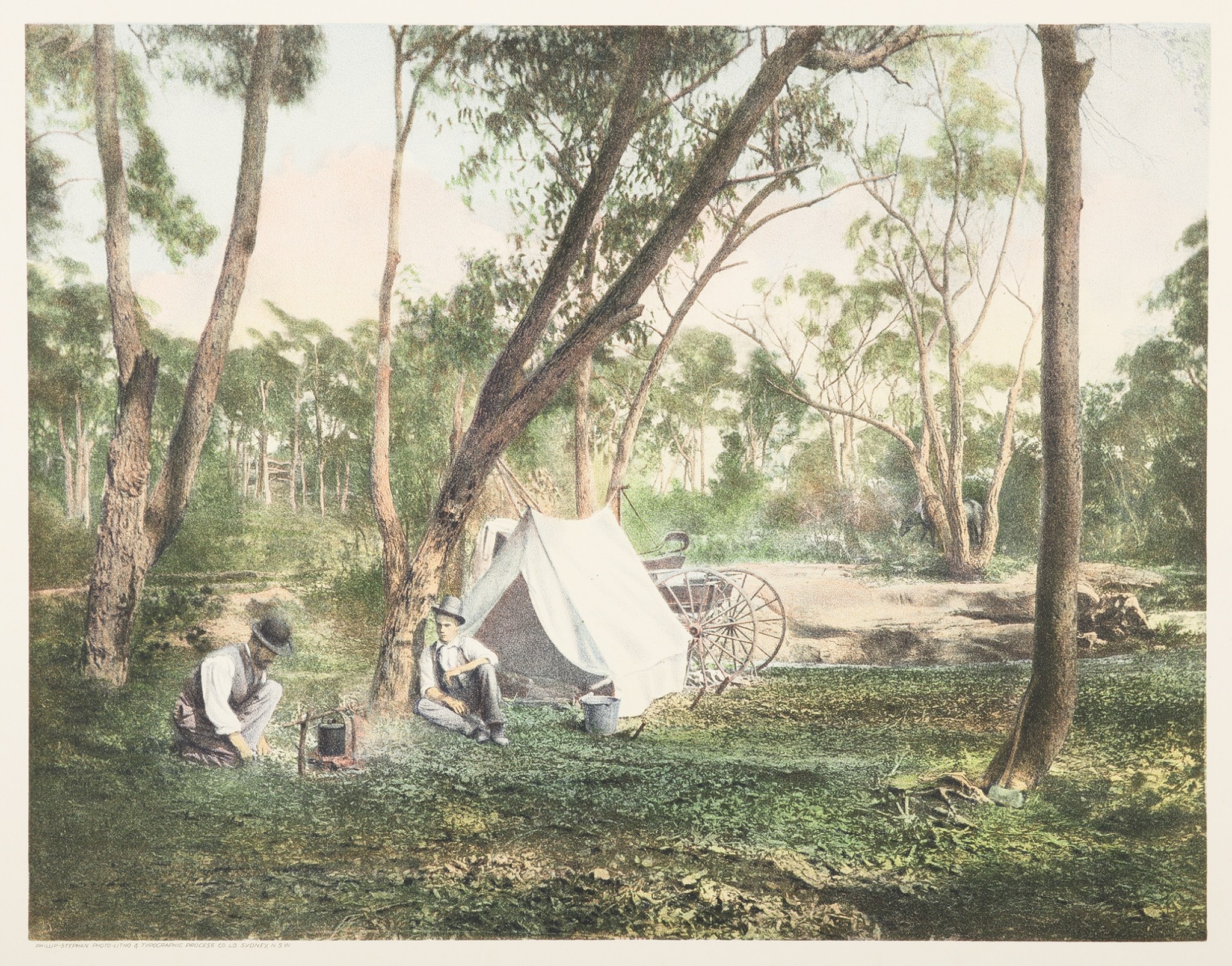 Australian Bush Scene - Antique Print Map Room