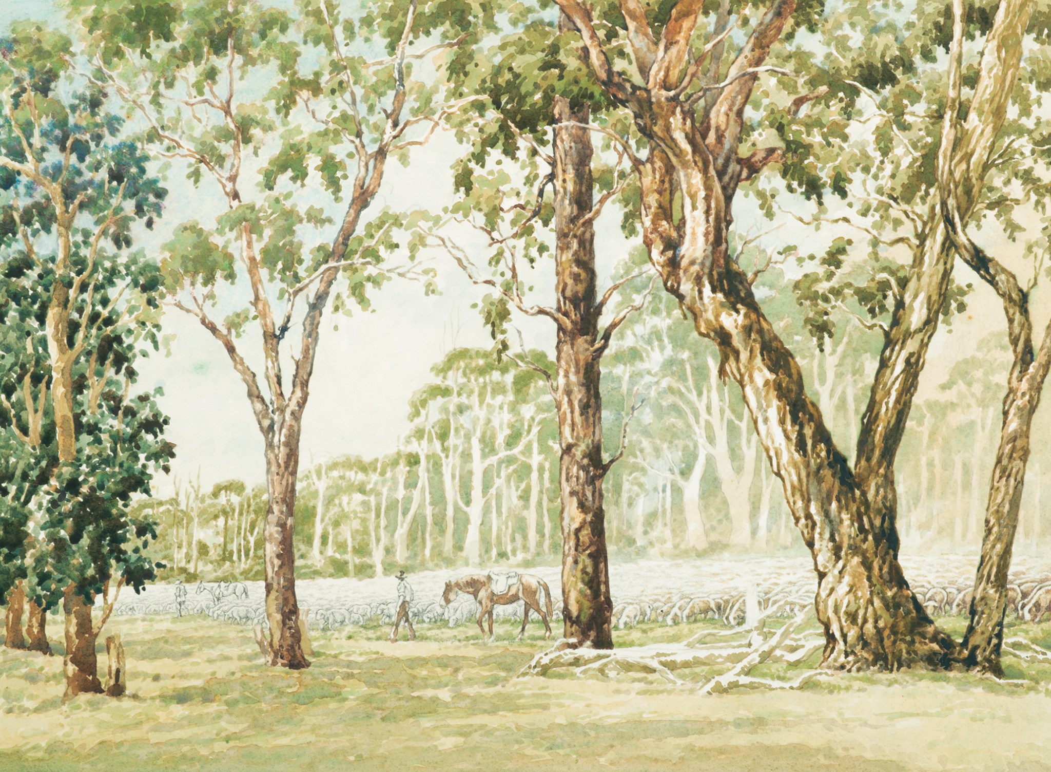 [Droving Sheep] - Antique Print Map Room