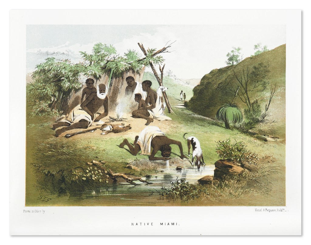 Native Miami. - Antique Print Map Room