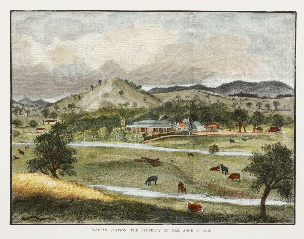 Wappan Station, the property of Mrs. Anne F. Bon. - Antique Print Map Room