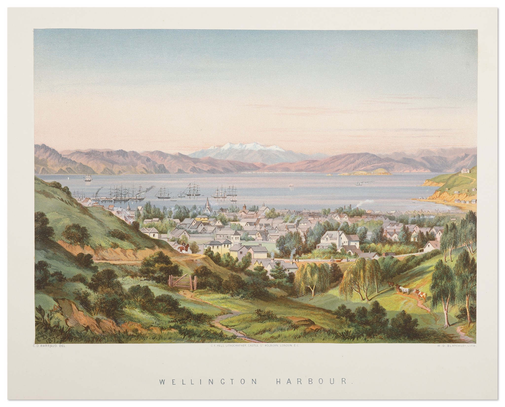 Wellington Harbour | Antique Print Map Room
