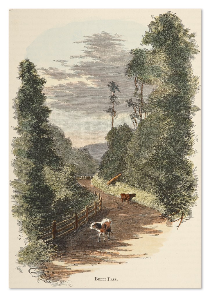 Bulli Pass - Antique Print Map Room