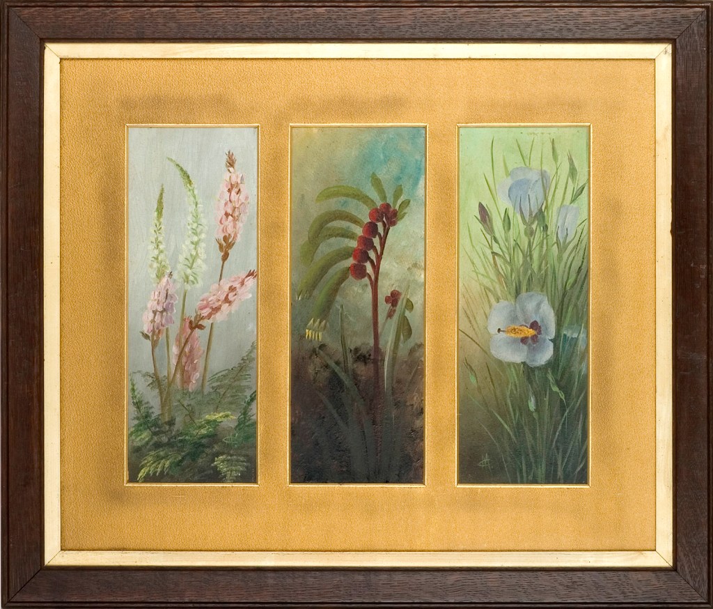 Untitled, Western Australian Wild Flowers. - Antique Print Map Room