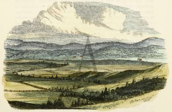 Bathurst Plains in 1852. - Antique Print Map Room