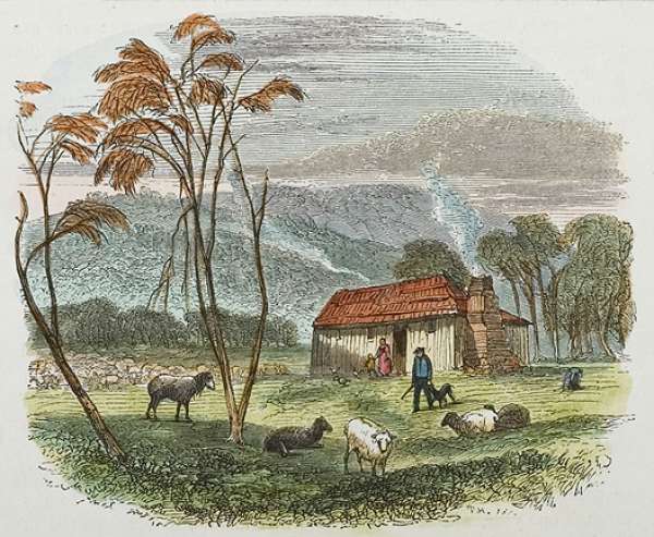 A Shepherd's Hut. - Antique Print Map Room