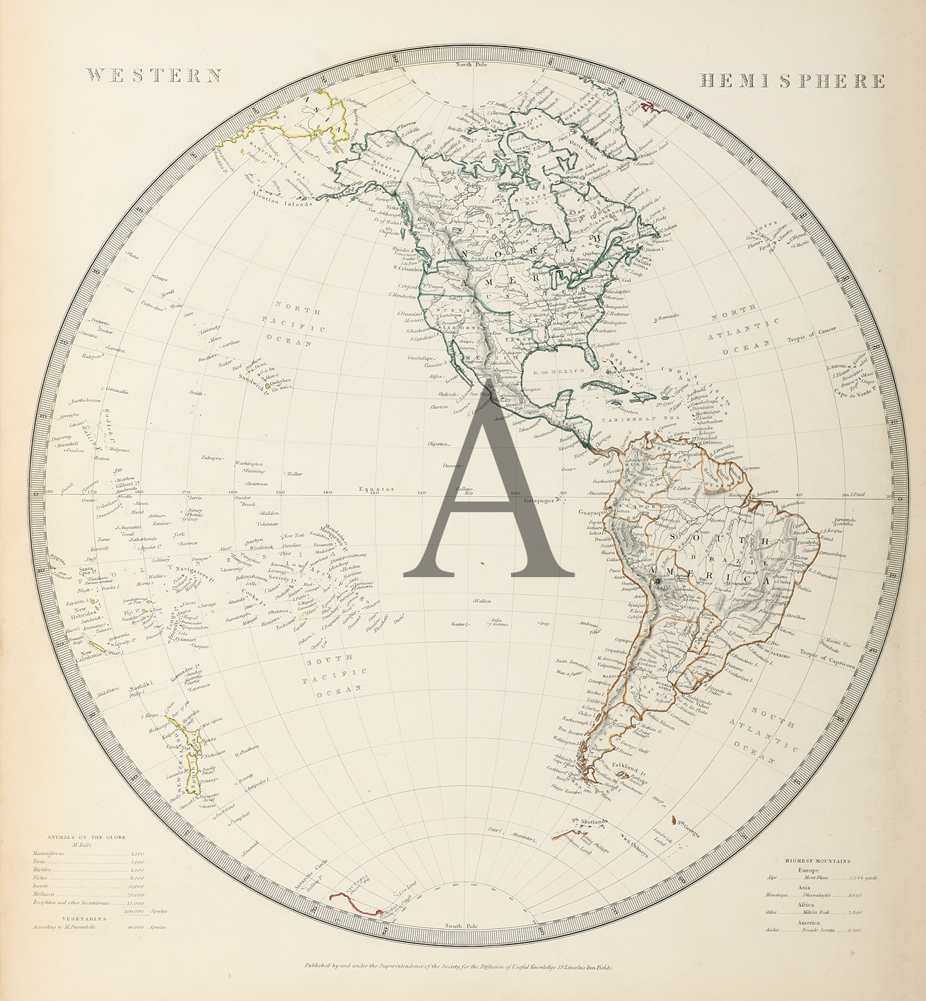 Western Hemisphere - Antique Print Map Room