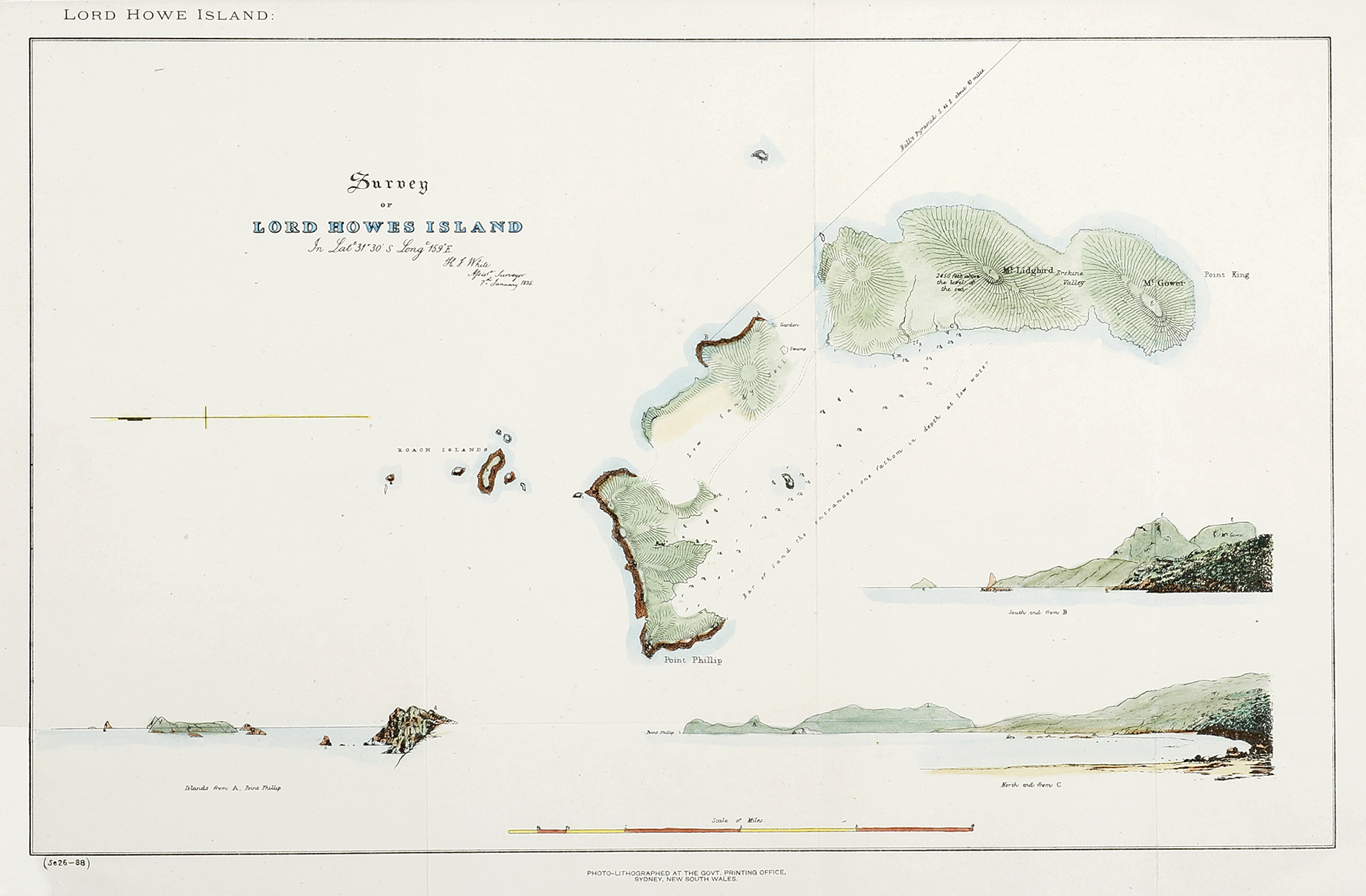 Survey of Lord Howes Island. - Antique Print Map Room