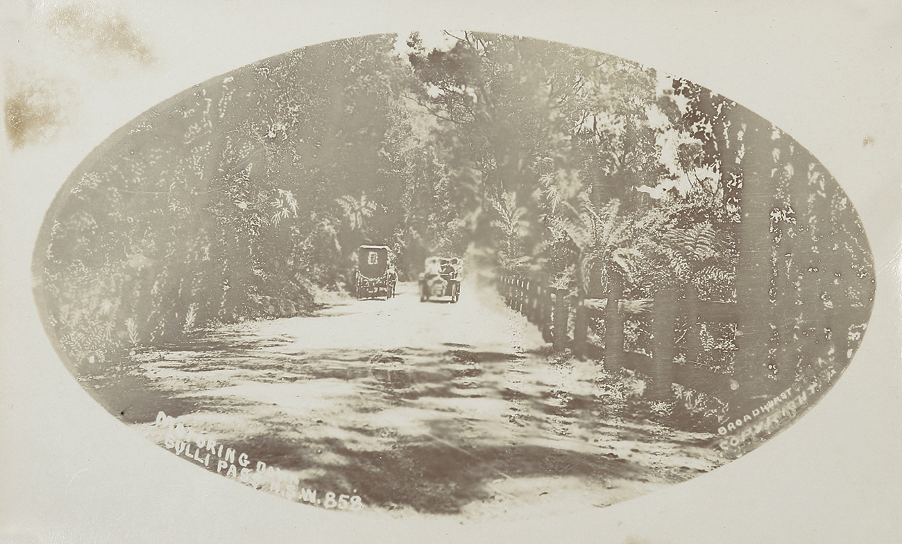 Bulli N.S.W. | Antique Print Map Room