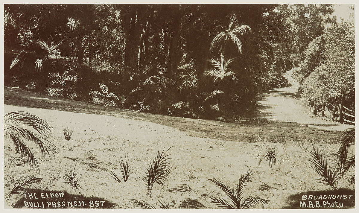 Bulli N.S.W. | Antique Print Map Room