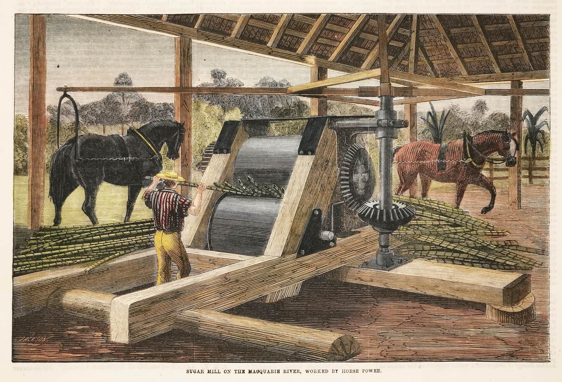 Sugar Mill on the Macquarie River, worked by Horse Power. - Antique ...