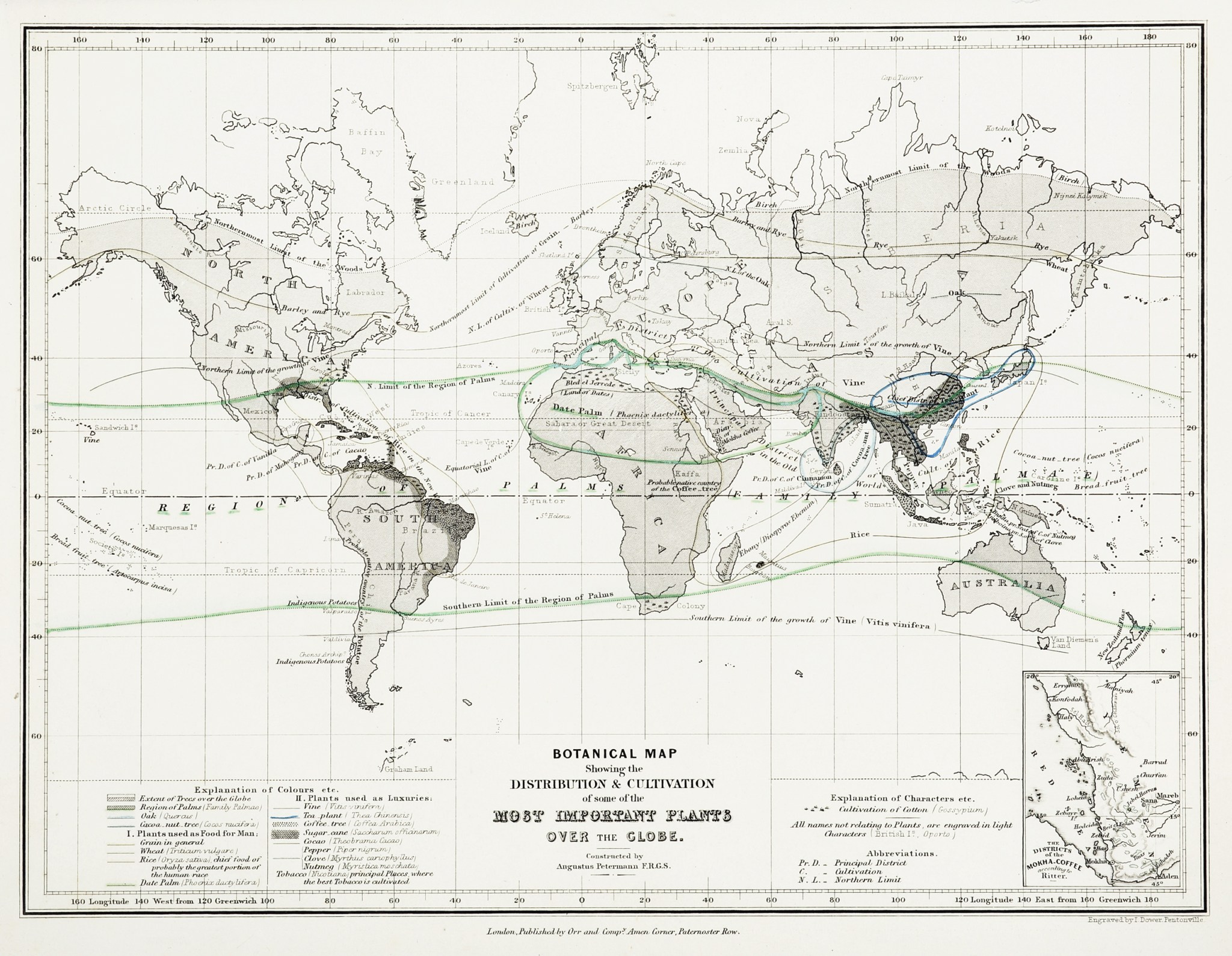 Botanical Map Showing the Distribution & Cultivation 0f some of the ...