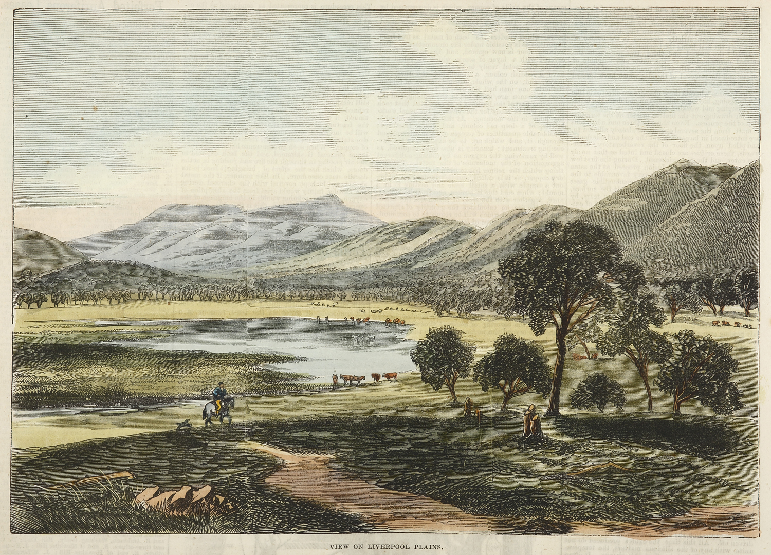 View on Liverpool Plains. - Antique Print Map Room