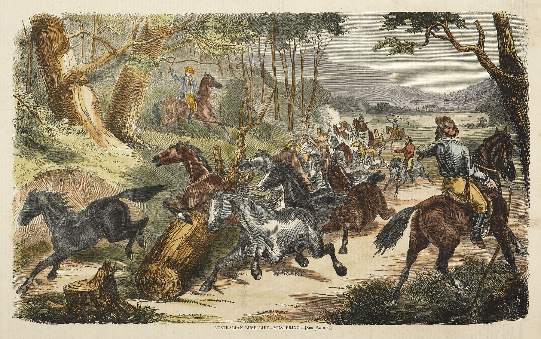 Australian Bush Life-Mustering. - Antique Print Map Room