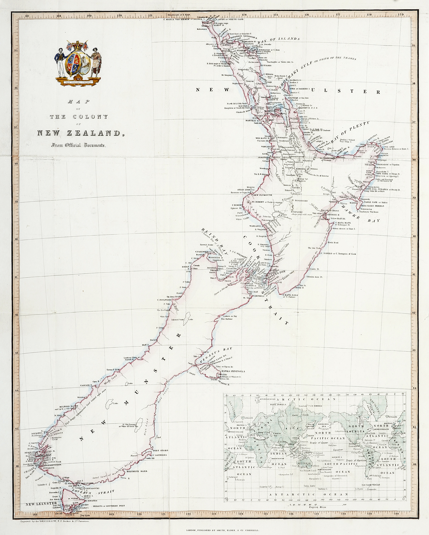 Map of the Colony of New Zealand, from Official Documents. - Antique ...