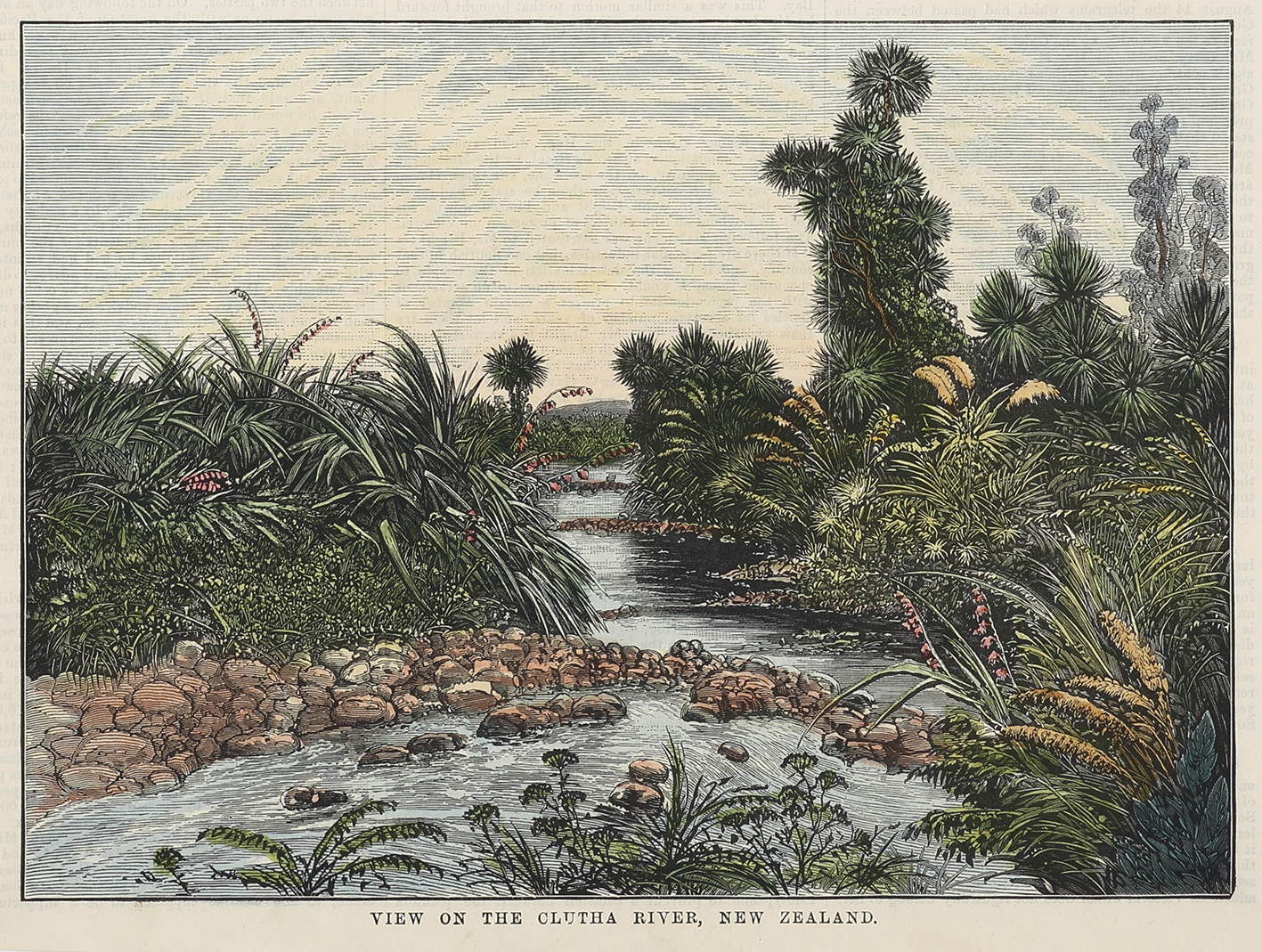 View on the Clutha River, New Zealand. - Antique Print Map Room