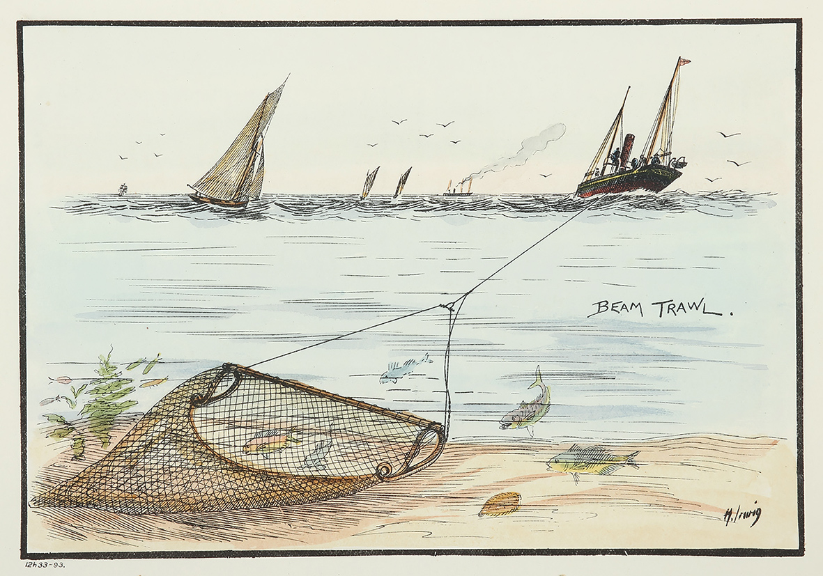 Beam Trawl. - Antique Print Map Room